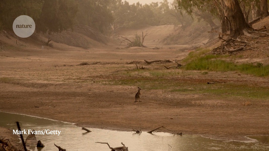 Most rivers and streams run dry every year