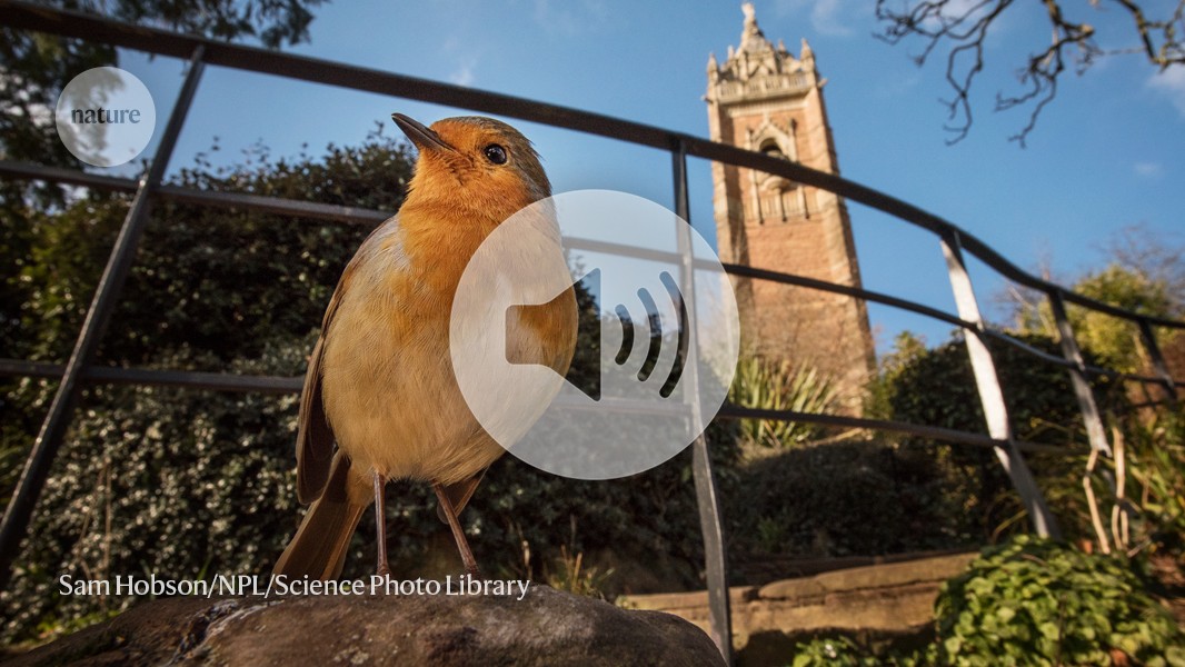 Quantum compass might help birds 'see' magnetic fields