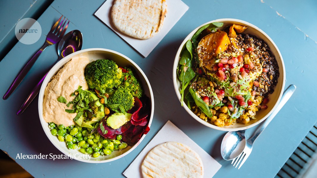 Why a meat-free diet boosts health: protein levels might hit the spot