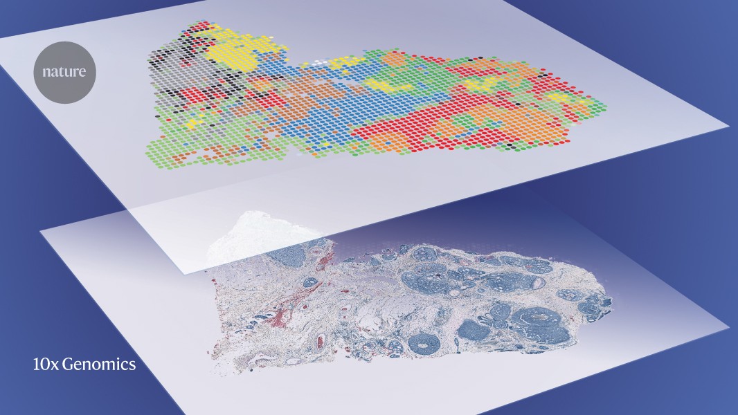 Single-cell analysis enters the multiomics age
