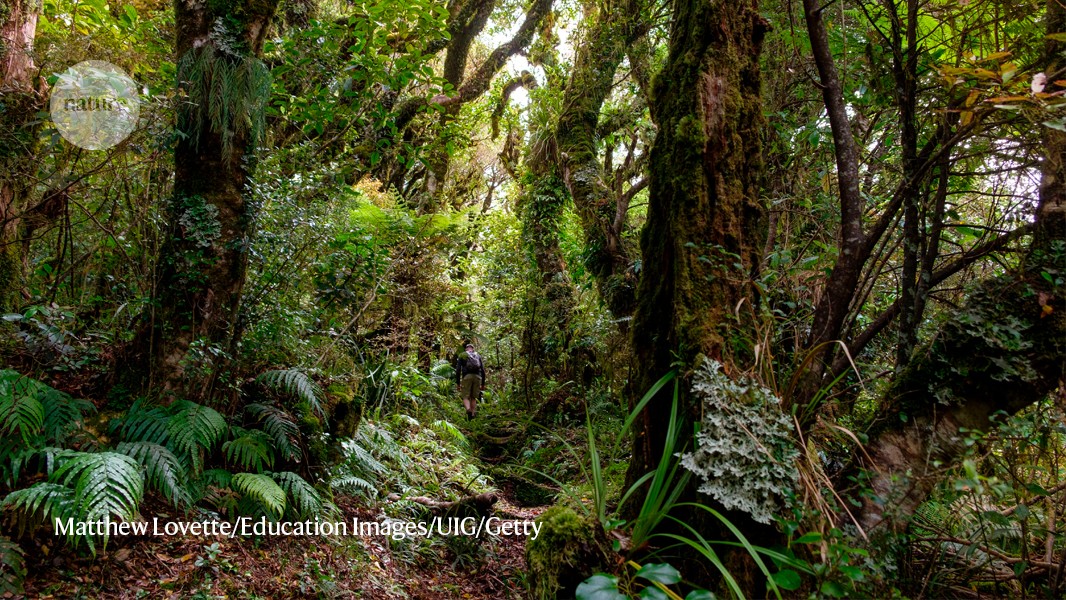 The world’s species are playing musical chairs: how will it end?