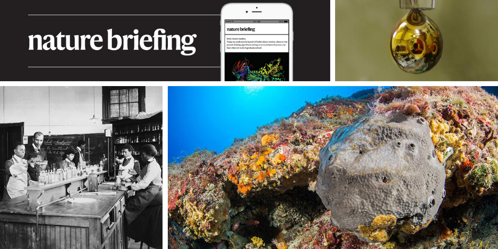 Daily briefing: Predicting breakthrough COVID