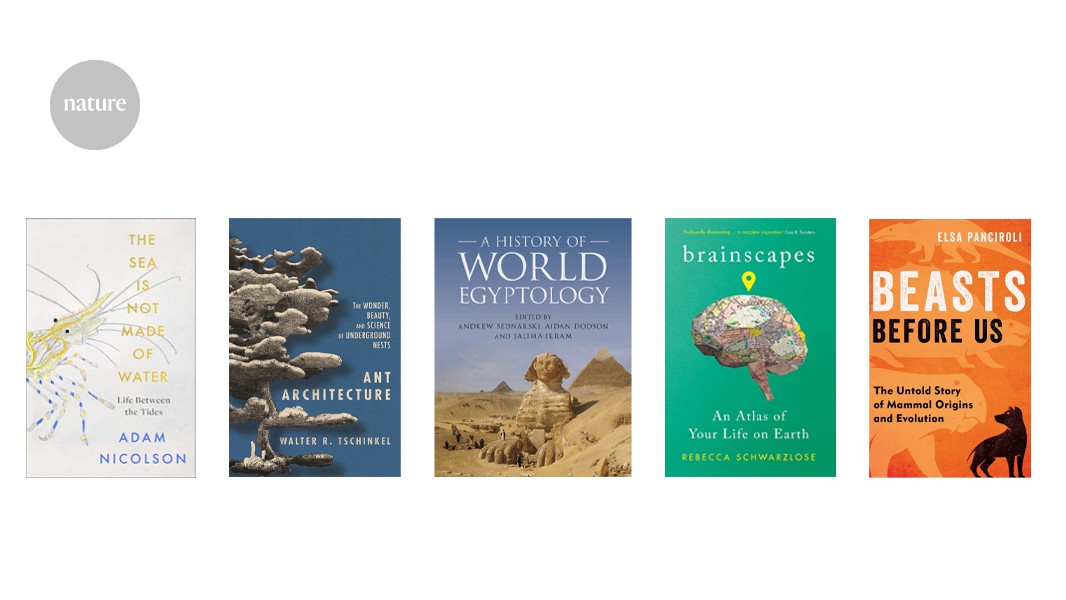 Amazing ants, brain maps, and mammals before the dinosaurs: Books in brief
