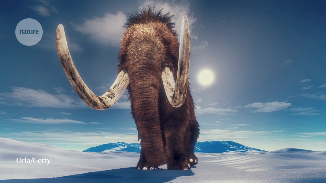 Mammoth’s epic travels preserved in tusk