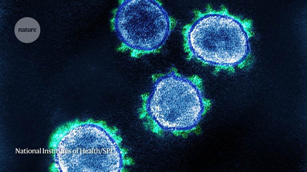 The mutation that helps Delta spread like wildfire