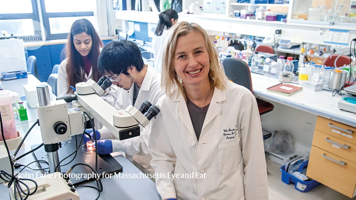 Reversing blindness with stem cells