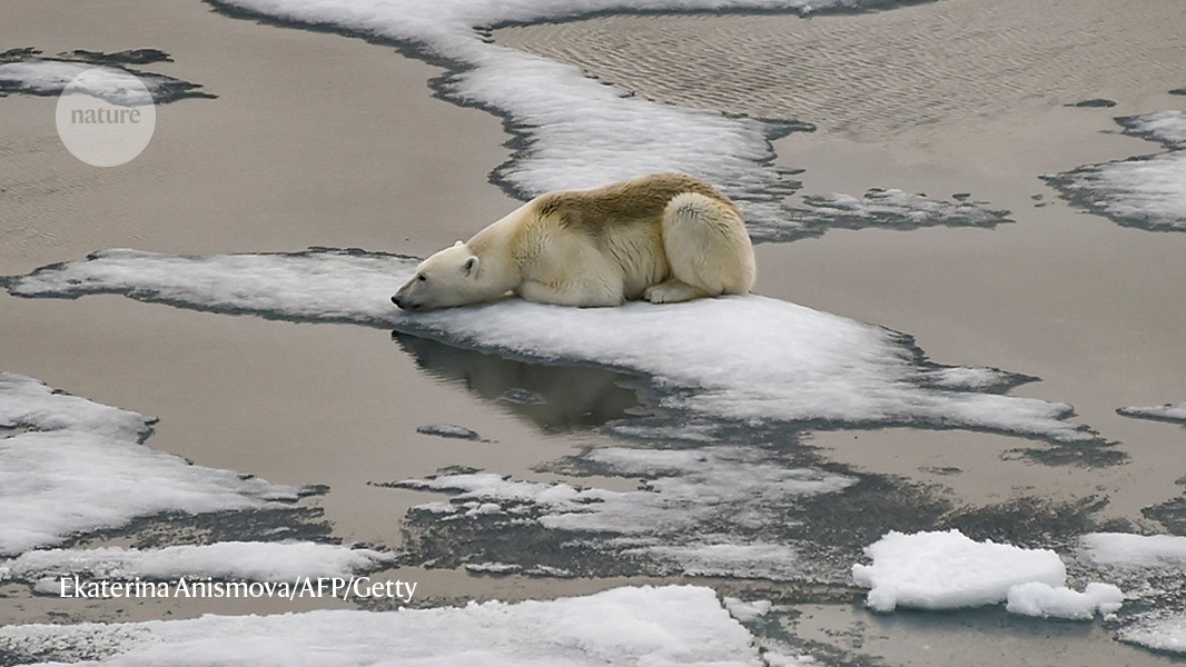Arctic sea ice hits 2021 minimum
