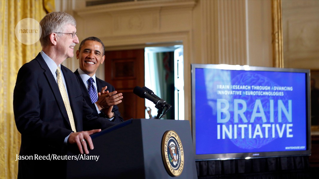 Neuroscientists make strides towards deciphering the human brain