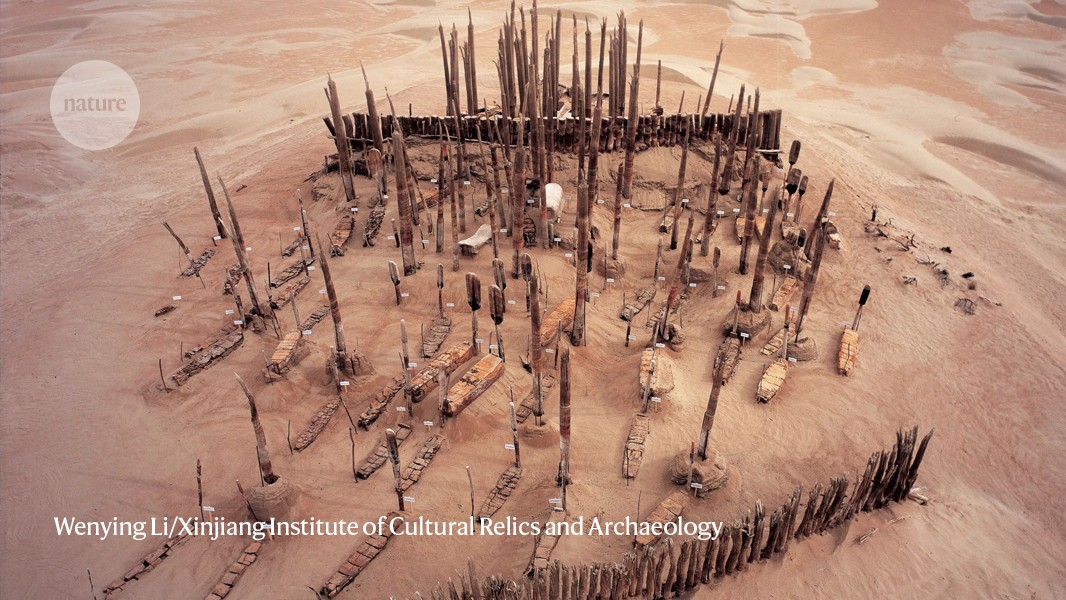 DNA reveals surprise ancestry of mysterious Chinese mummies