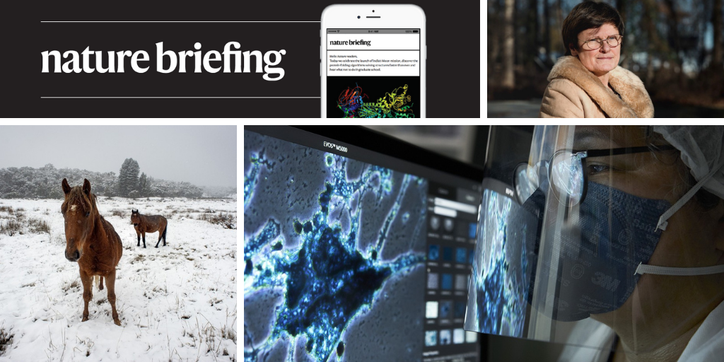 Daily briefing: A scientists’ guide to COP26