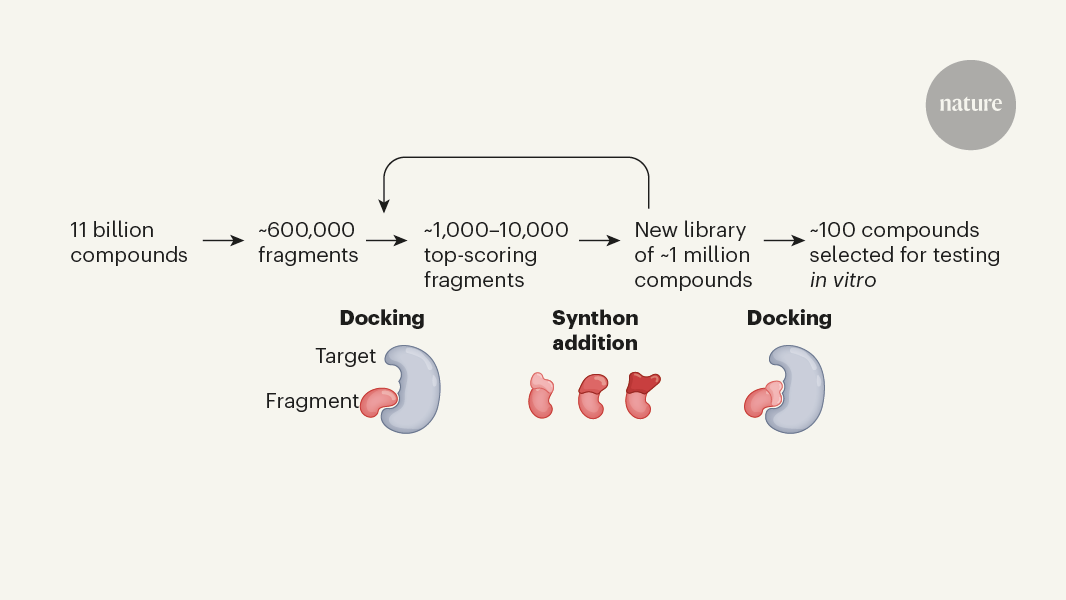 A virtual drug-screening approach to conquer huge chemical libraries