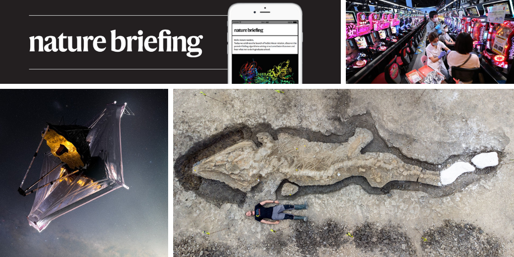 Daily briefing: First transplant of a gene-edited pig heart