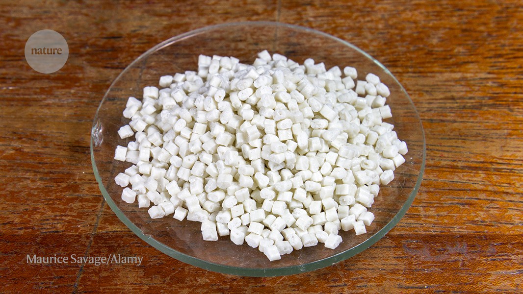 Bacteria spin sugar for a greener and better plastic