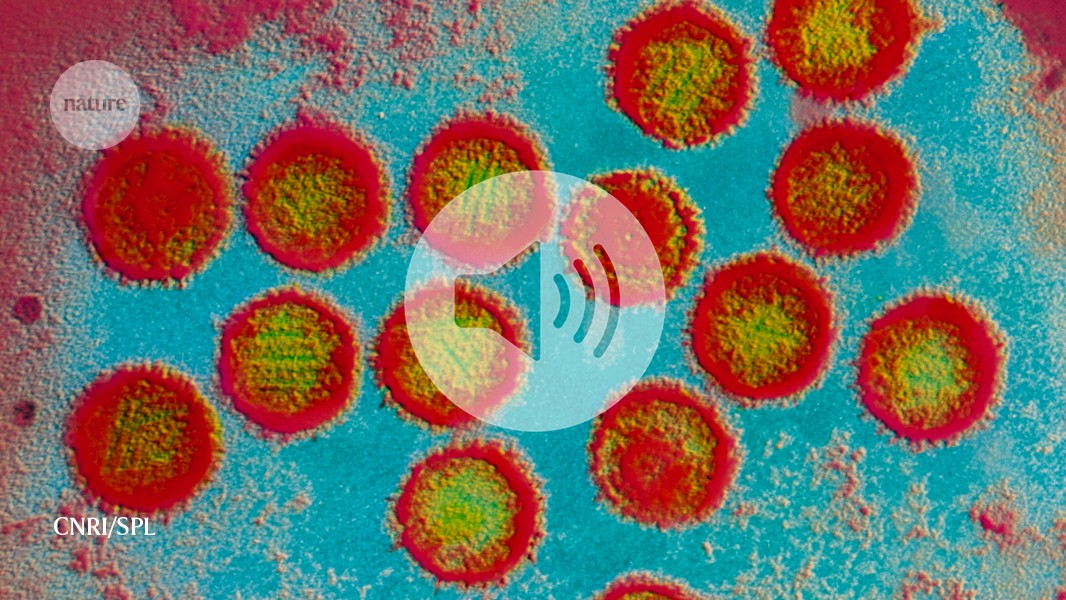 Audio long-read: The quest to prevent MS — and understand other post ...