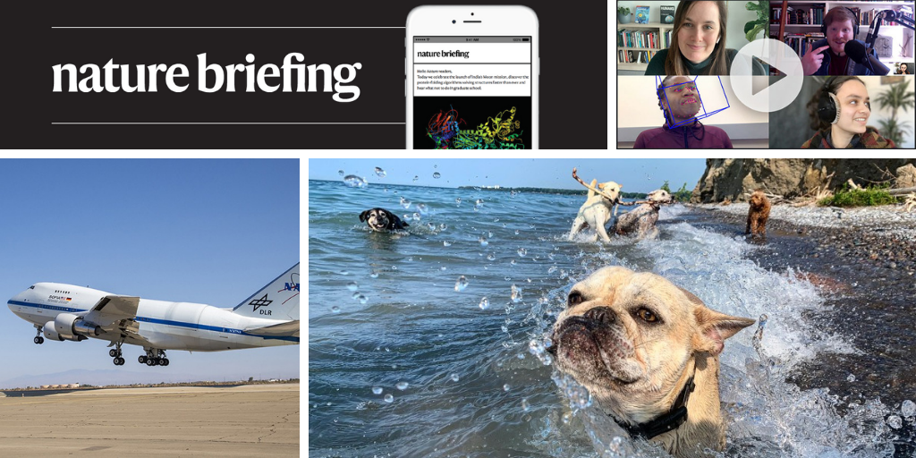 Daily briefing: Why video calls are bad for brainstorming