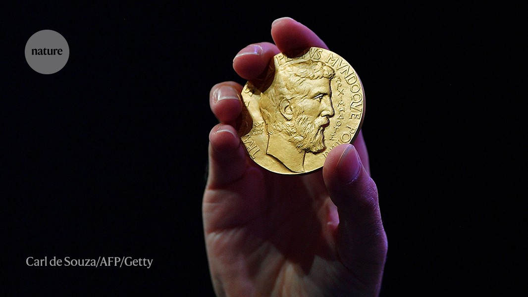 Mathematics prizes have a gender problem — can it be fixed?