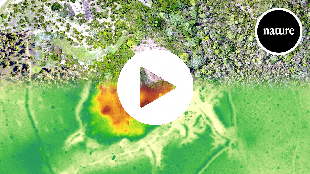 Lasers reveal ancient pyramids and canals hidden in the Amazon