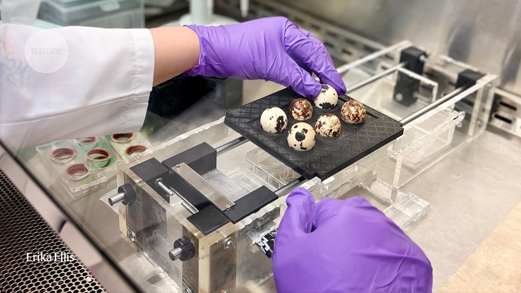 How engineers and drug developers are working to change childhood ...