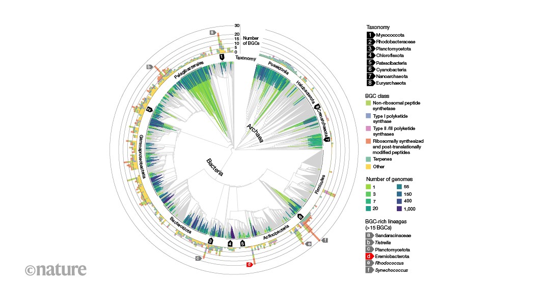 A wealth of new biosynthetic pathways from the global ocean microbiome