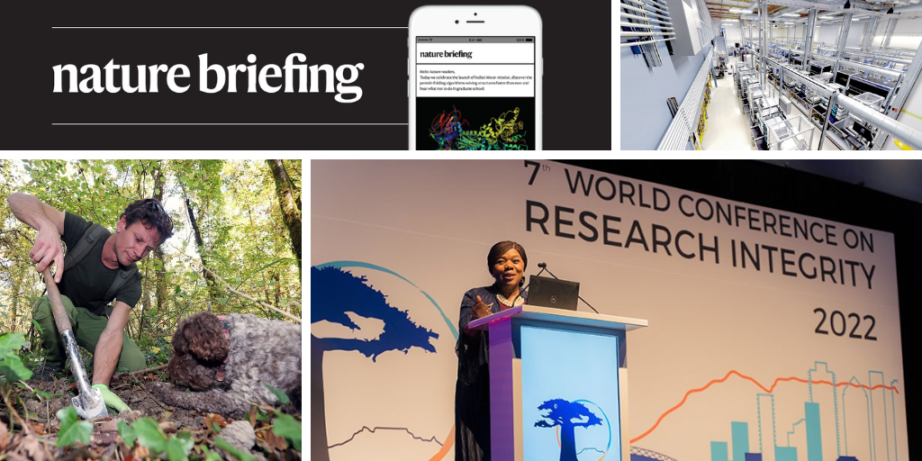 Daily briefing: Scientists doubt Google chat bot is ‘sentient’