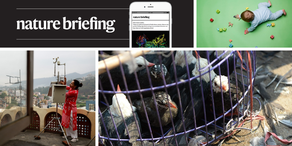 Daily briefing: How to bounce back from a PhD-project failure