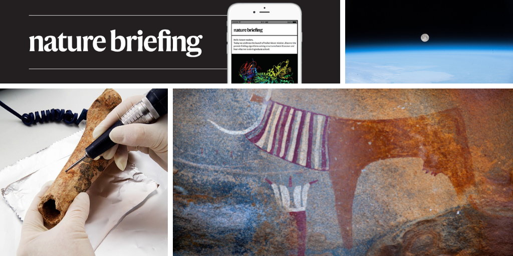 Daily briefing: AI predicts the shape of nearly all known proteins