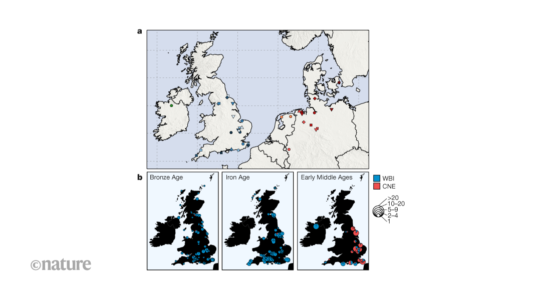 Ancient DNA reveals details about early medieval migration into England