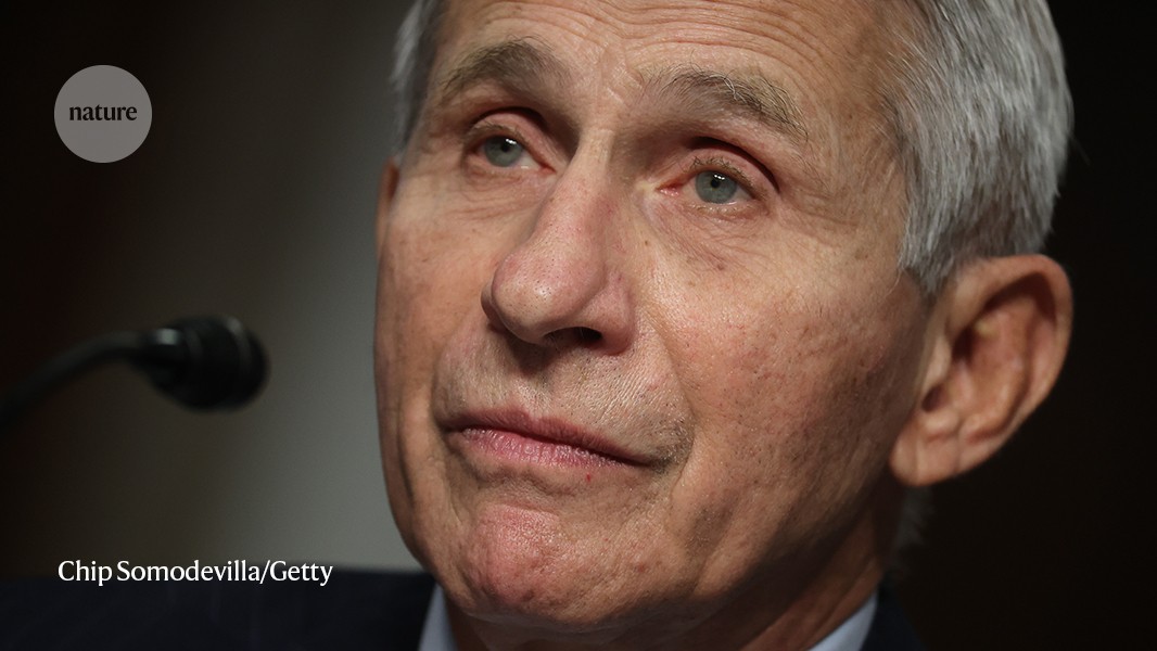 ‘He has saved countless lives’: US scientists on Fauci leaving NIH role