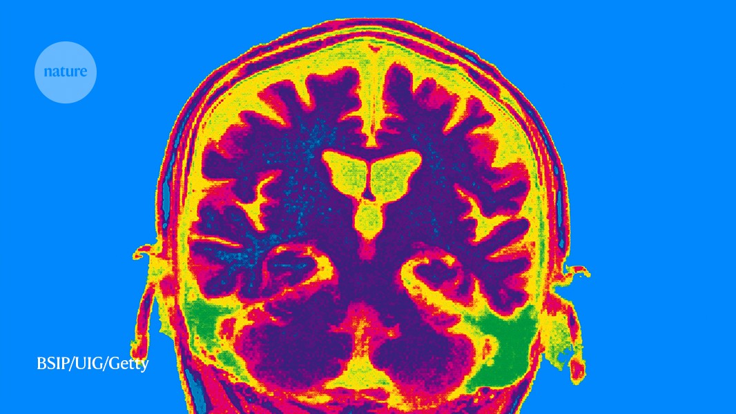 Memory boost, forever chemicals and dark-matter signal