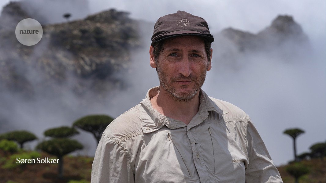 Treading carefully: saving frankincense trees in Yemen