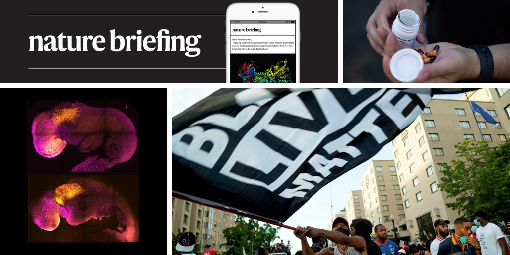 Daily briefing: What these scientists learnt from a year of saying no