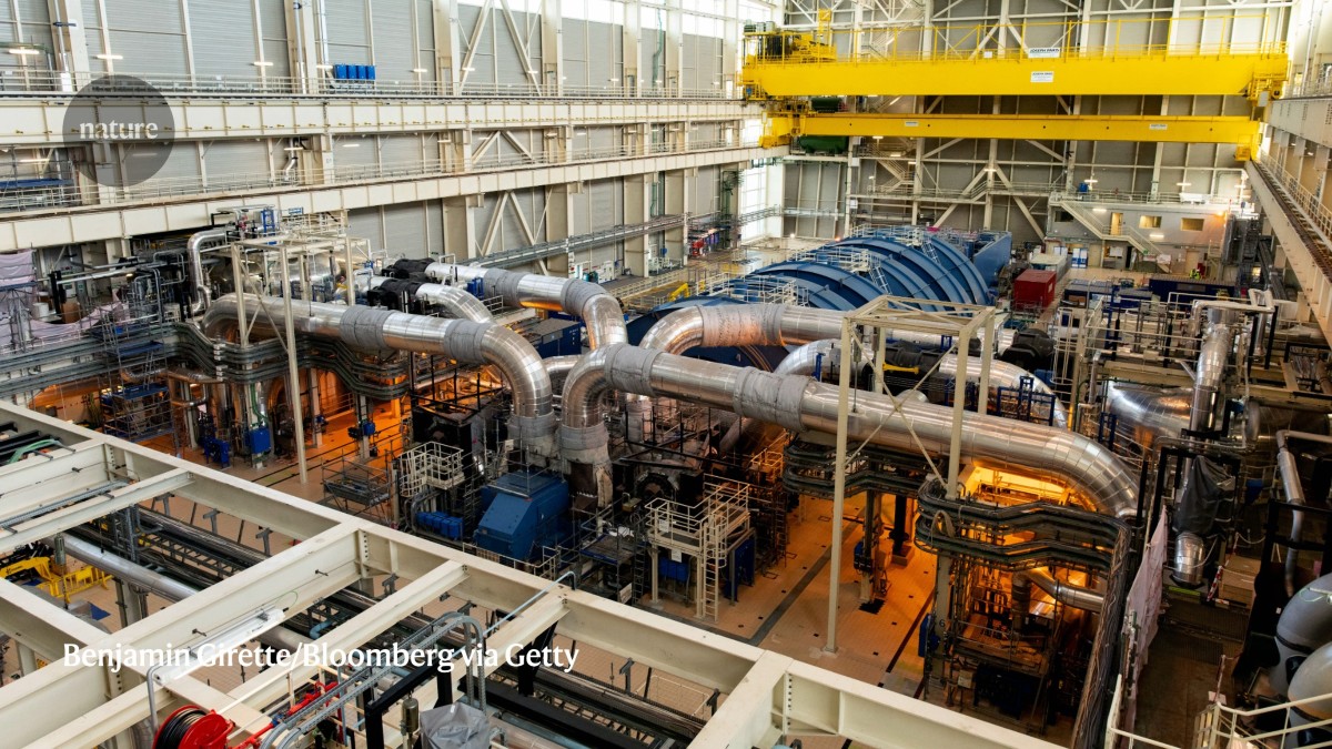 Exploring small nuclear to plug the energy gaps