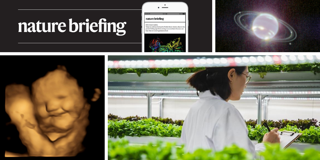 Daily briefing: Most US professors went to the same few universities