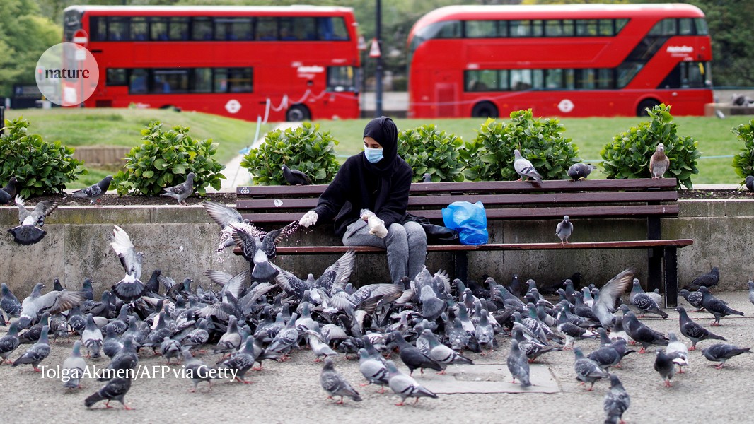 How a COVID lockdown changed bird behaviour