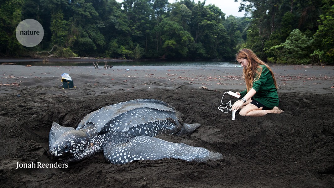 Showcase your science by entering Nature’s 2022 #ScientistAtWork photo ...
