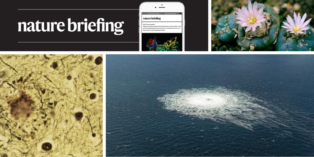 Daily briefing: Fungi inside cancers might affect their growth