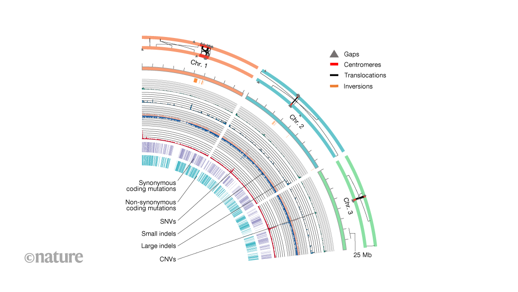 An assembly line for an improved human reference genome