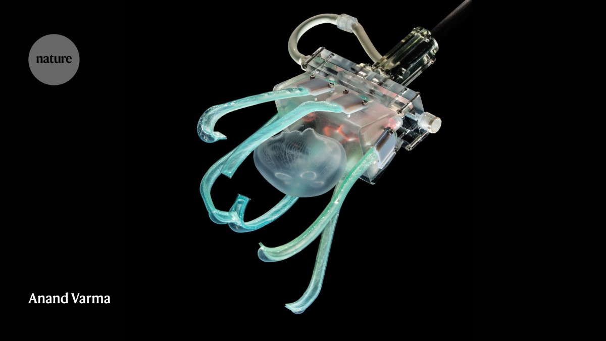 Harnessing AI and robotics for science and society