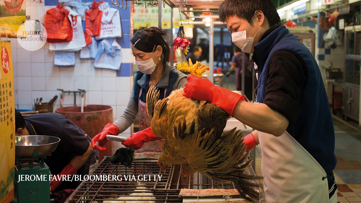 Could an algorithm predict the next pandemic?