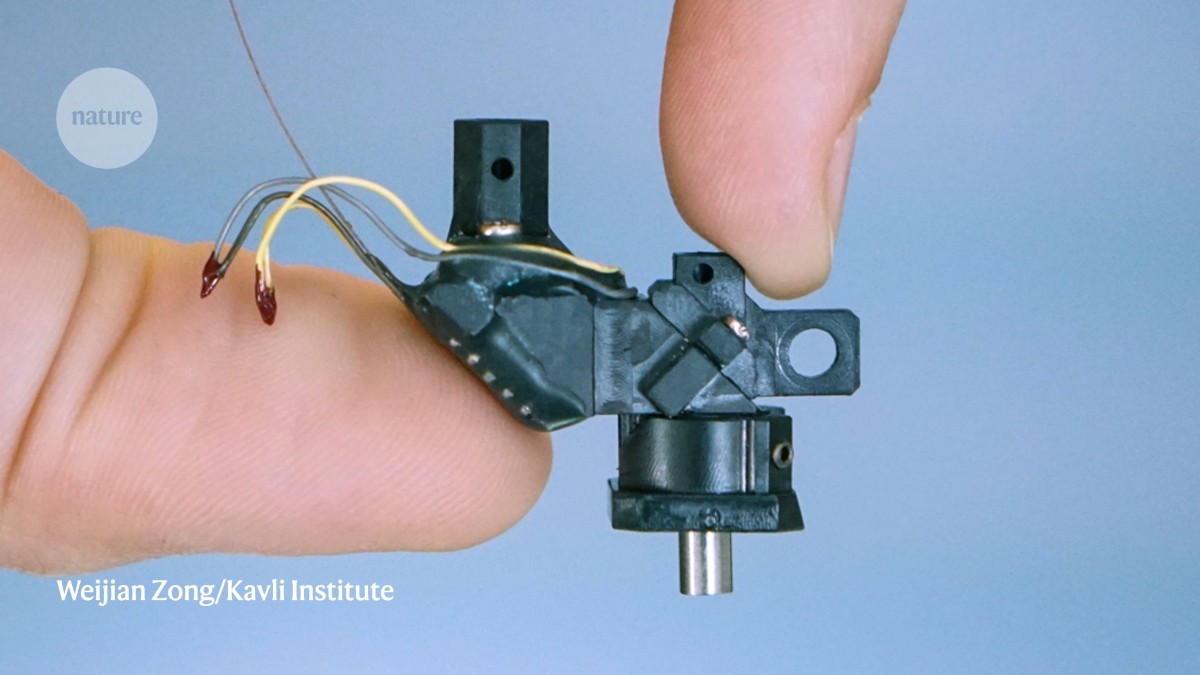 Thumb-sized microscope captures images deep inside the brains of active ...