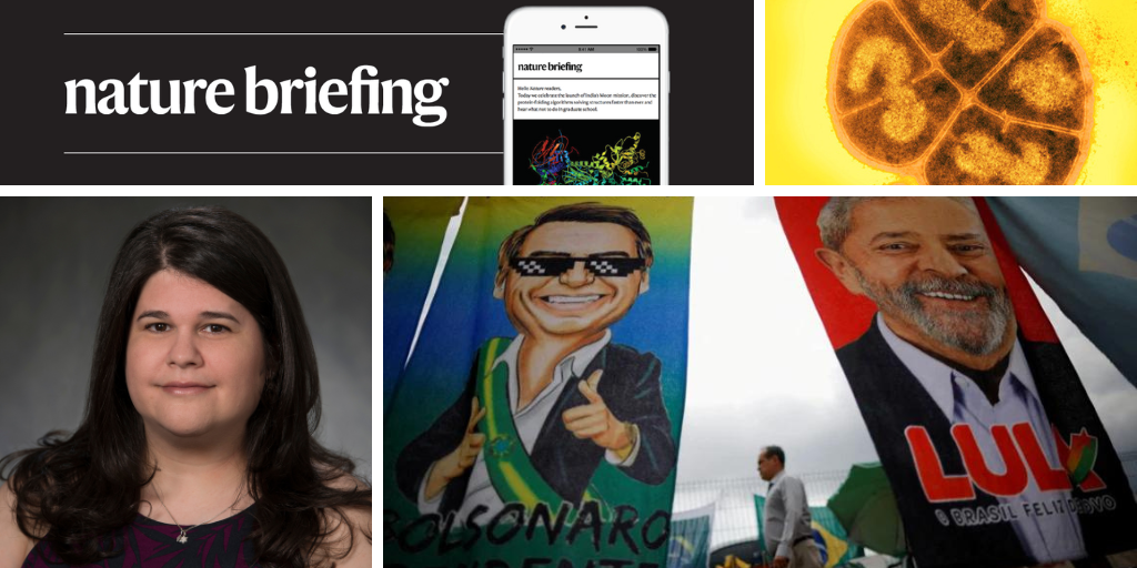 Daily briefing: Why bird flu is so bad right now