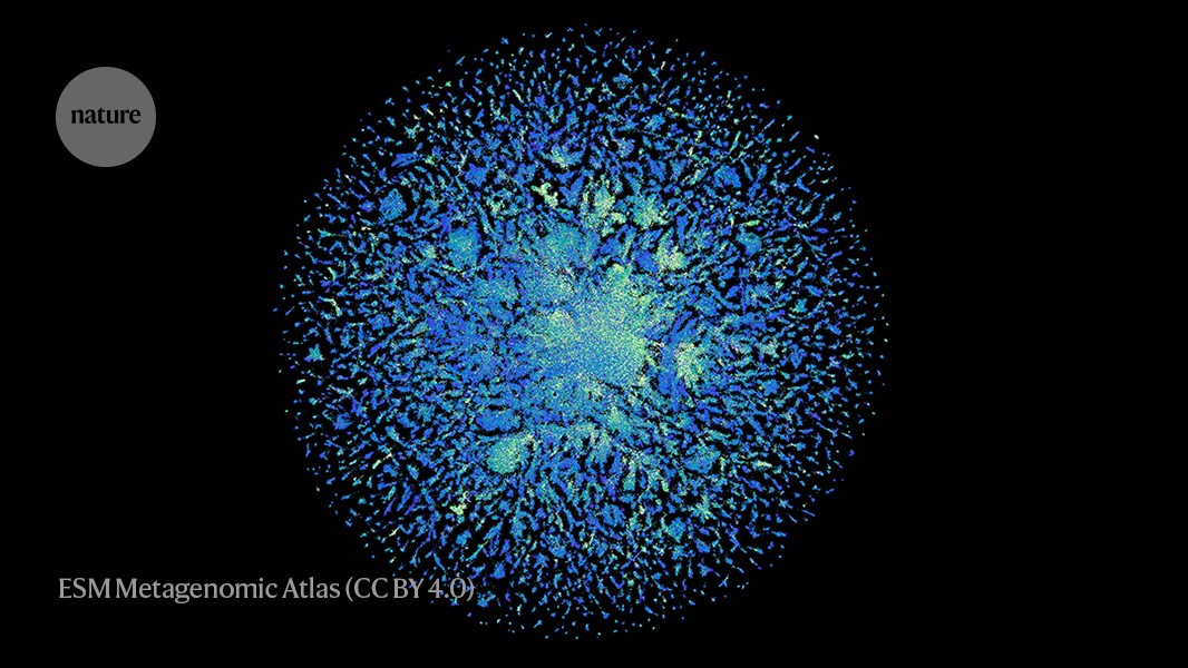 AlphaFold’s new rival? Meta AI predicts shape of 600 million proteins