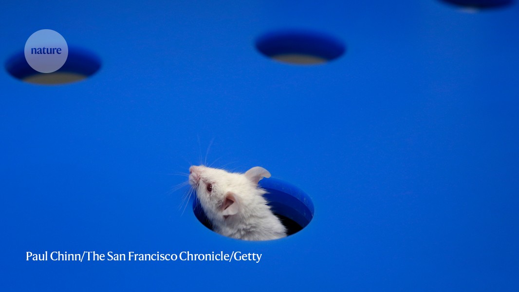 US agency seeks to phase out animal testing