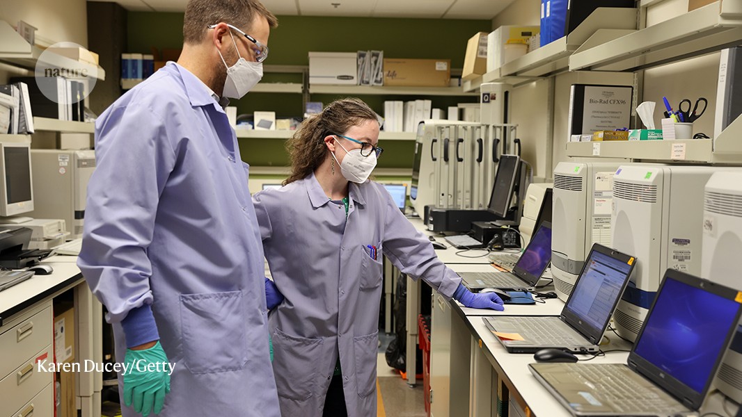 ‘Labour advantage’ drives greater productivity at elite universities