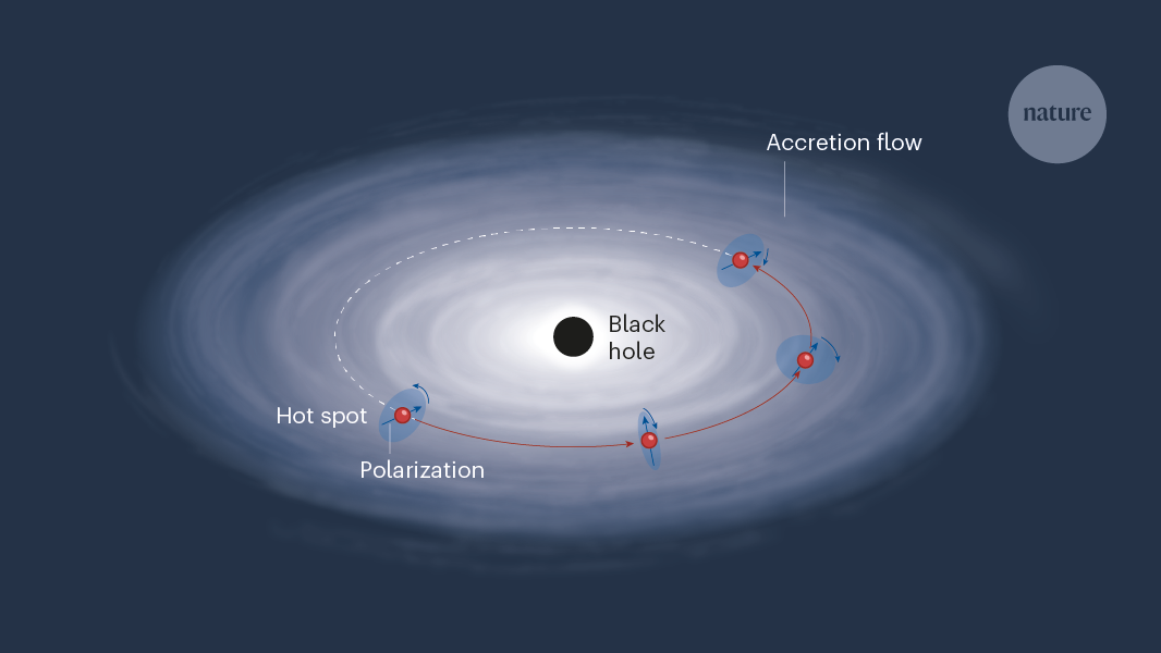 Telltale loops bring news from the Galactic black hole