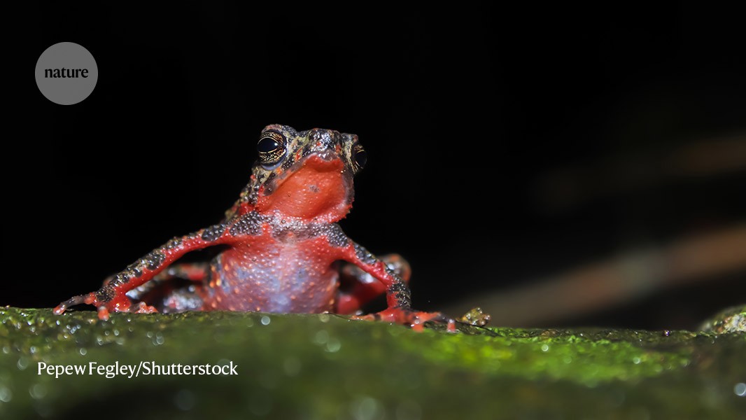 Can the world save a million species from extinction?