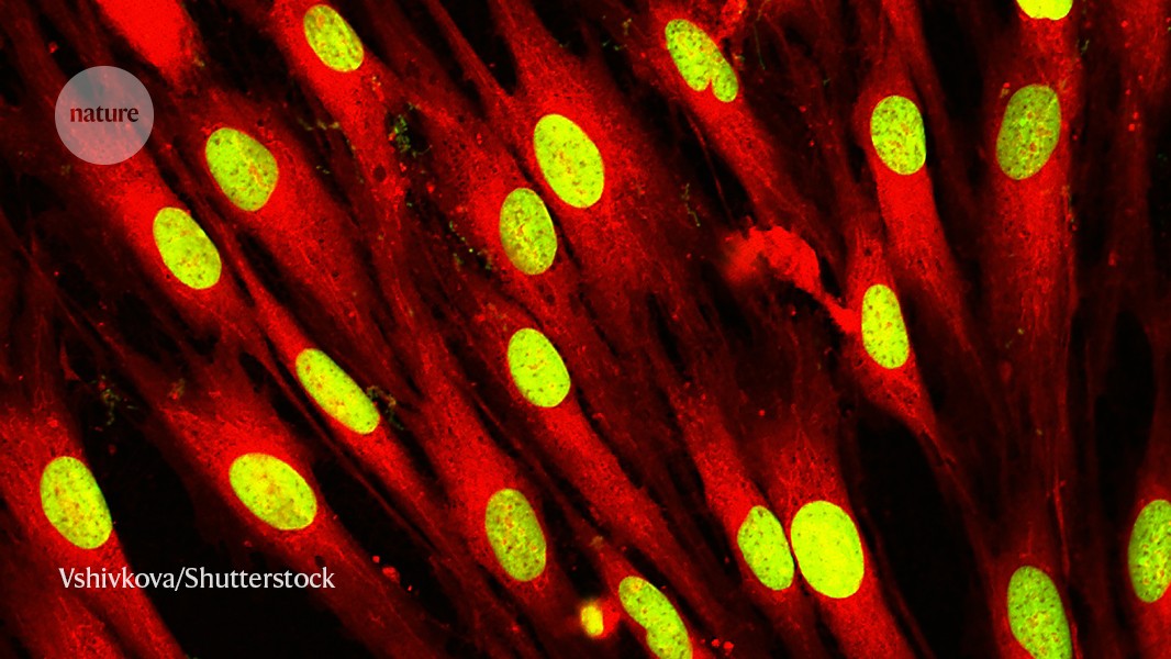 Which single-cell analysis tool is best? Scientists offer advice