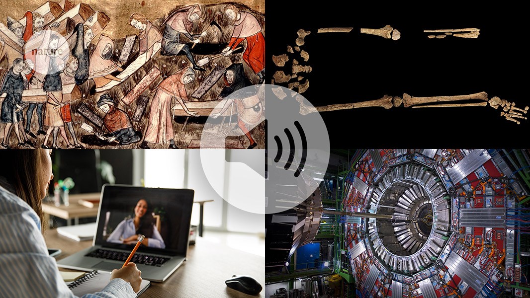 The Nature Podcast’s highlights of 2022