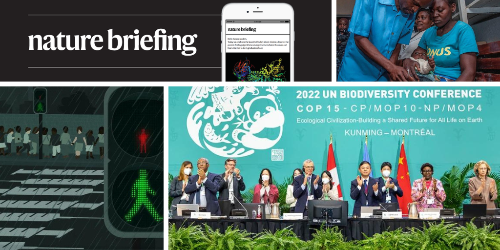Daily briefing: T. rex didn’t roar — it cooed