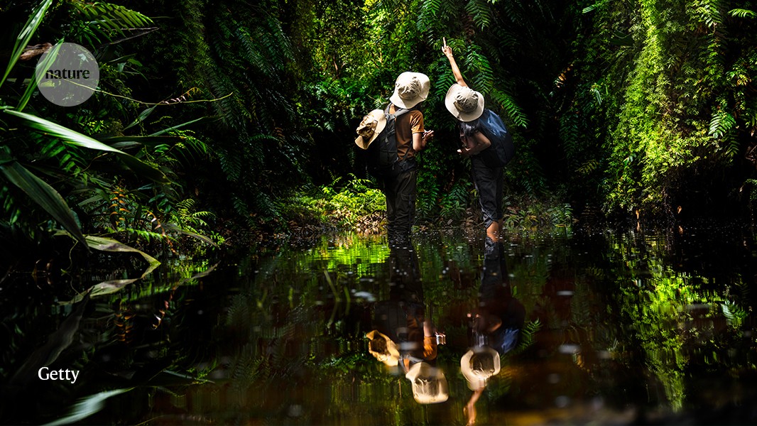 Sabbaticals are back: how to make the most of them